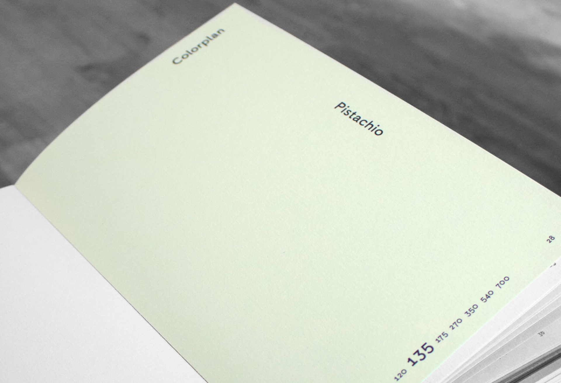 Rachel Bates Interiors – Perfected Designs